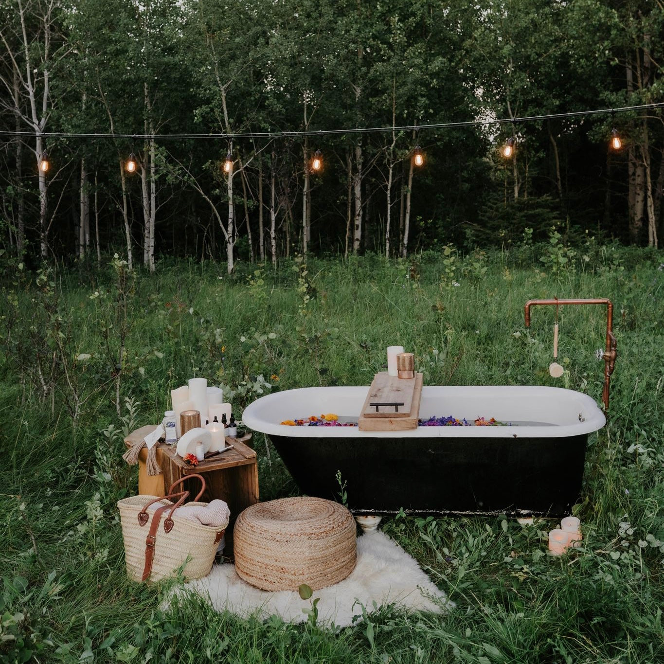 Forest Bathing, being mindful in nature and we created this scene ...